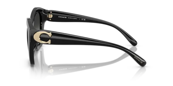 COACH Irregular Frame Sunglasses - Black
