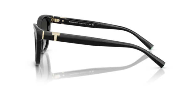 Tiffany & Co. Cat Eye Sunglasses - Black