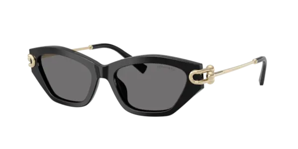 Tiffany & Co. Tf4231u Sunglasses - Black