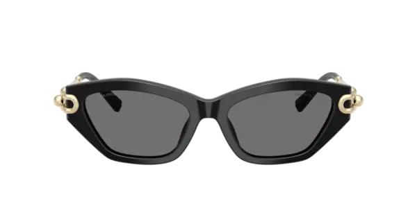 Tiffany & Co. Cat-eye Sunglasses - Black