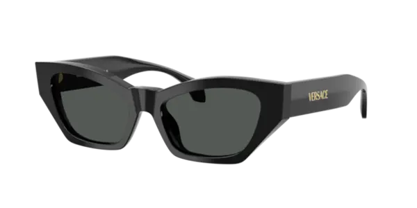 Versace Ve4488u Sunglasses - Black