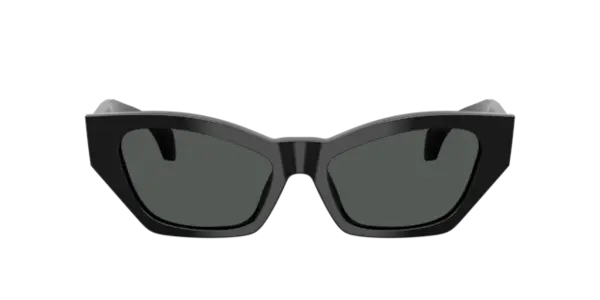 Versace Ve4488u Cat-eye Sunglasses - Black