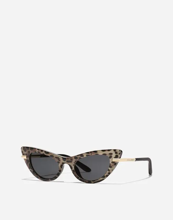 Dolce & Gabbana Sunglasses