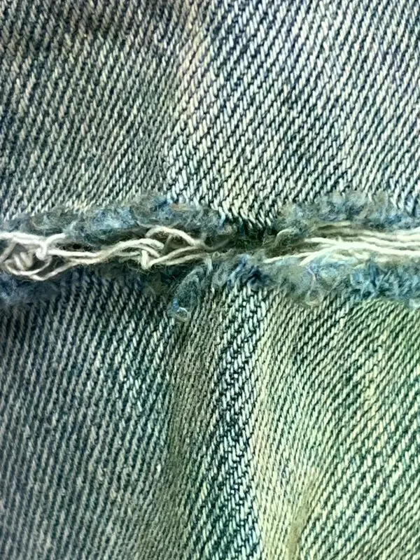 PURPLE BRAND Gaia Trousers