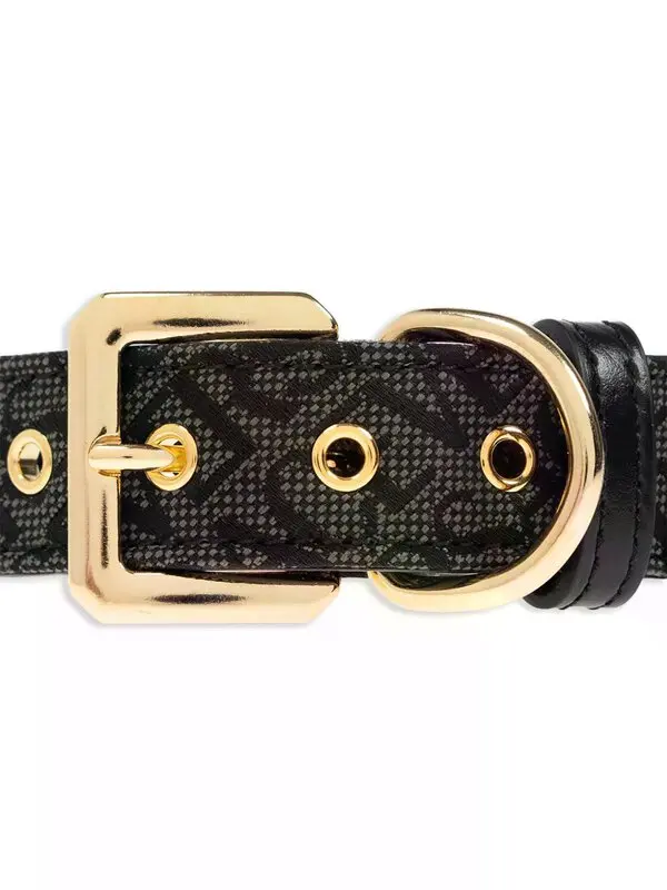 Versace Logo Dog Collar
