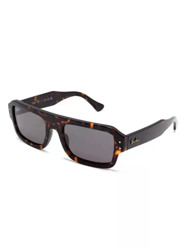 Ray-ban Lukas Sunglasses - Brown