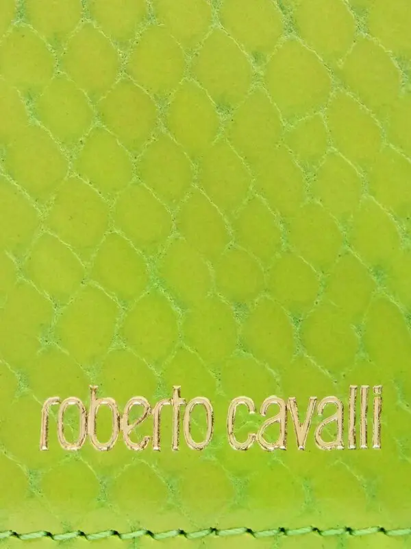 Roberto Cavalli Leather Cardholder - Green