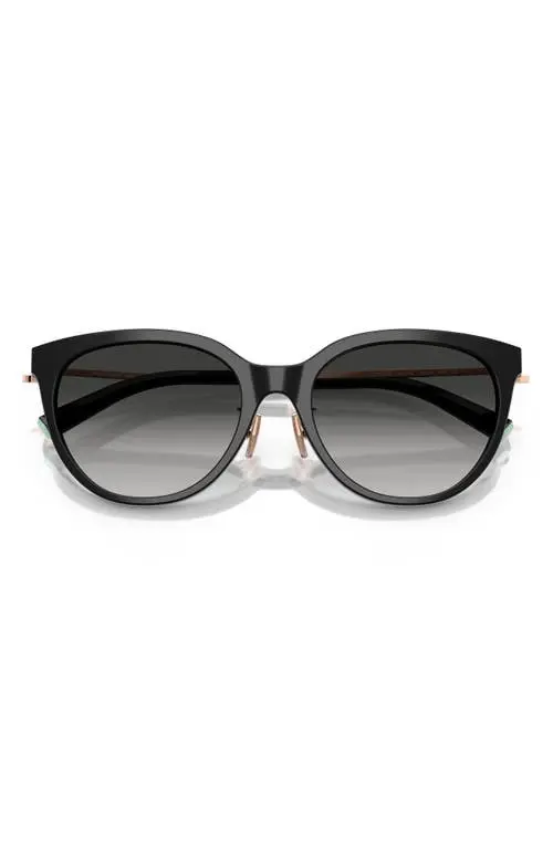 Tiffany & Co. 55mm Round Frame Sunglasses - Black/grey Gradient
