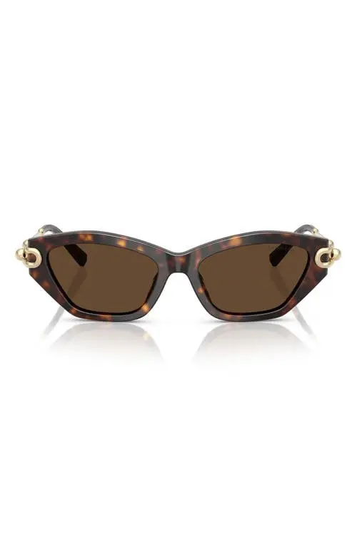 Tiffany & Co. 53mm Cat Eye Sunglasses - Havana /light Brown