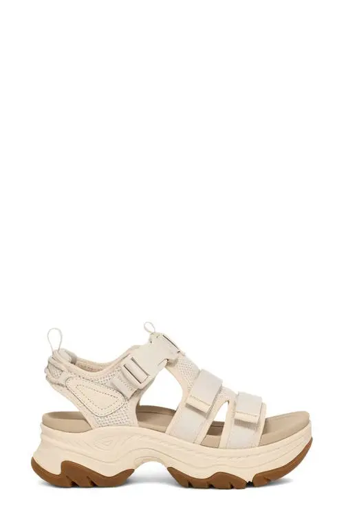 Teva Hurricane Ampsoule Gaila Sandal - Birch