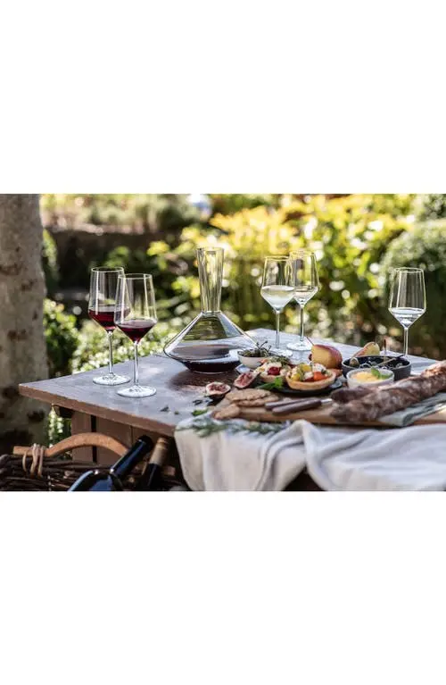 SCHOTT ZWIESEL Pure Set Of 2 Cabernet Wine Glasses