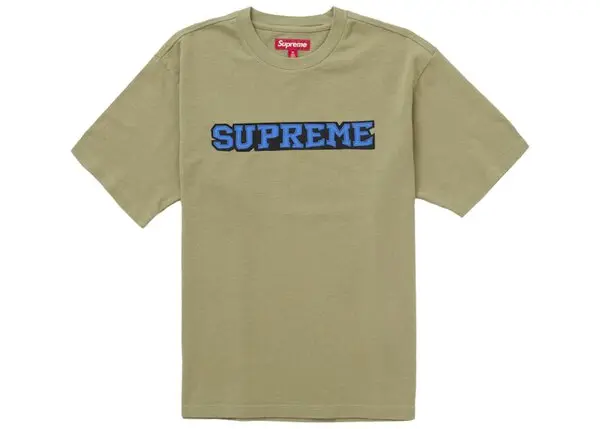 Supreme Satin Appliqué Short Sleeve Top - Light Olive