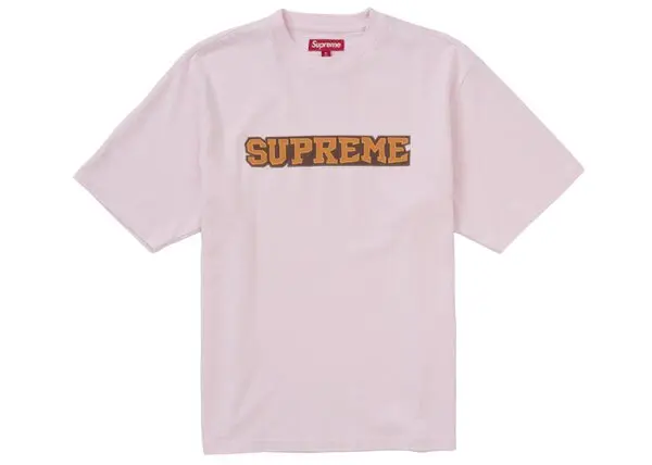 Supreme Satin Appliqué Short Sleeve Top - Light Pink