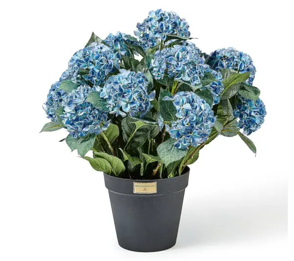MACKENZIE-CHILDS Blue Hydrangea Urn Filler - One-color