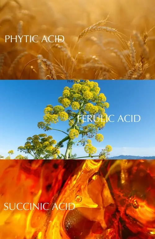 ALBION Excia Embeage Adicid Serum - Red