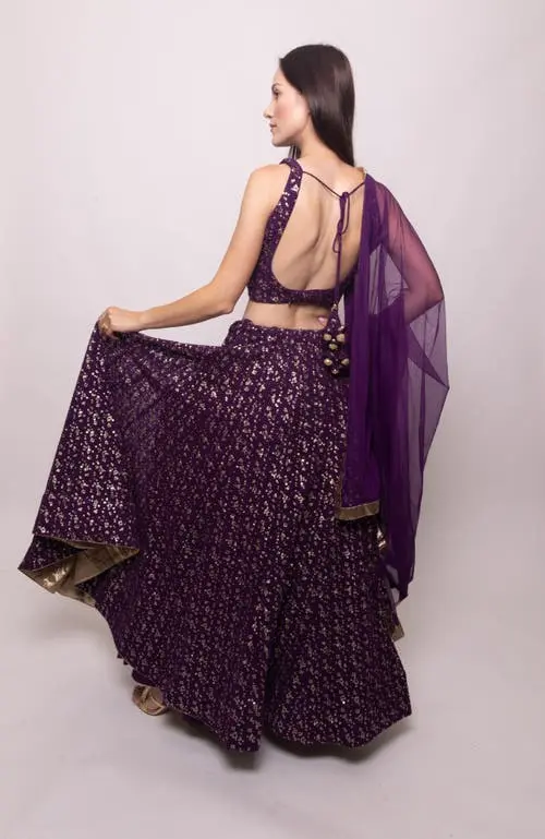 RAAS Jaden Sequins Embroidered Lehenga Choli Set