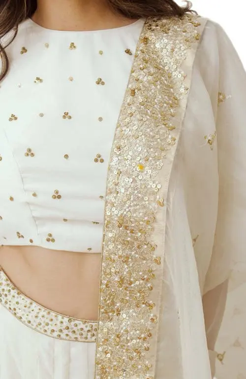 RAAS Zuriah Shimmer Lehenga Choli Set