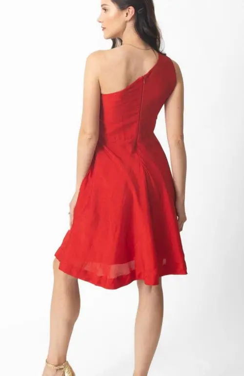 RAAS Aerin Raw Silk One-shoulder Dress
