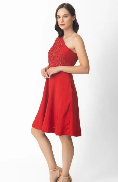 RAAS Aerin Raw Silk One-shoulder Dress