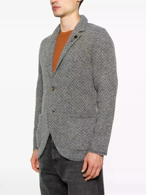 LARDINI Brushed Blazer