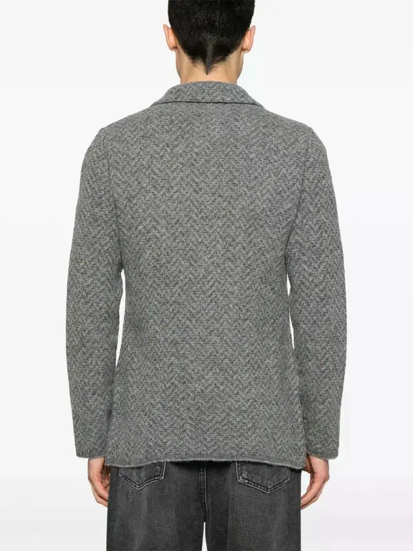 LARDINI Brushed Blazer