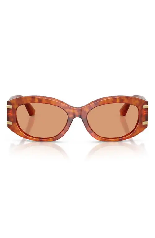 Dolce & Gabbana 55mm Oval Sunglasses - Camel Havana / Orange