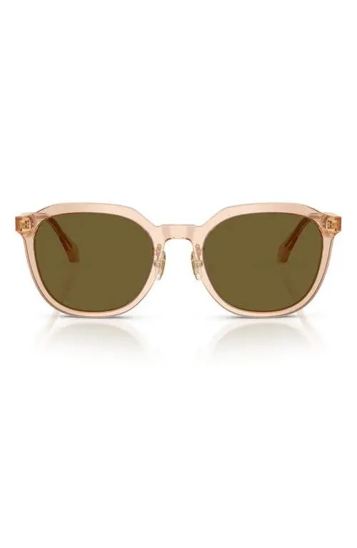 Versace 55mm Phantos Sunglasses - Dark Brown