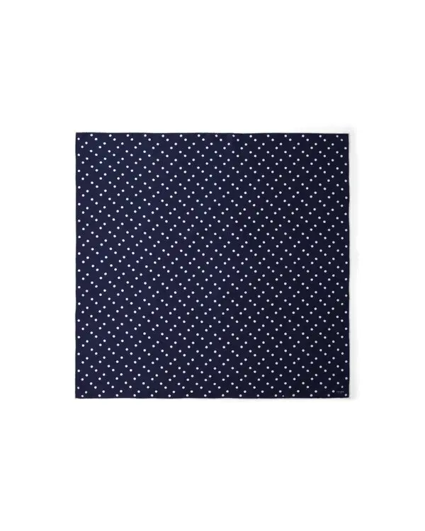 Prada Printed Silk Twill Scarf 90 - Blue
