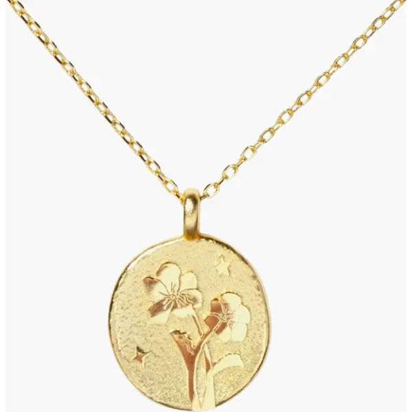 LITTLE SKY STONE Gold Vermeil Birth Flower Pendant Necklace - Violet / February