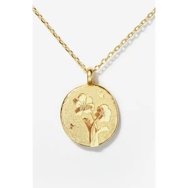 LITTLE SKY STONE Gold Vermeil Birth Flower Pendant Necklace - Violet / February