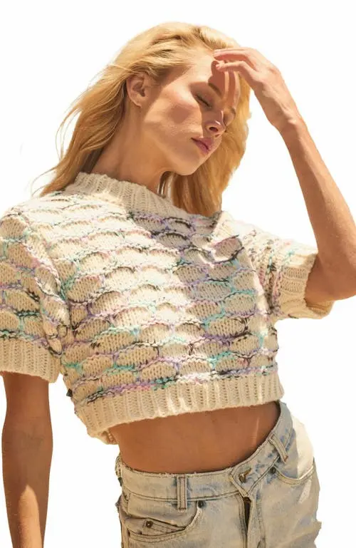 BTB LOS ANGELES Lola Crop Sweater - Purple Multi