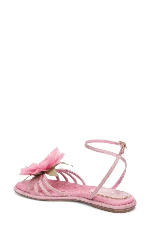 CIRCUS NY BY SAM EDELMAN Olana Strappy Sandals - Rosette Blush/pink Prism