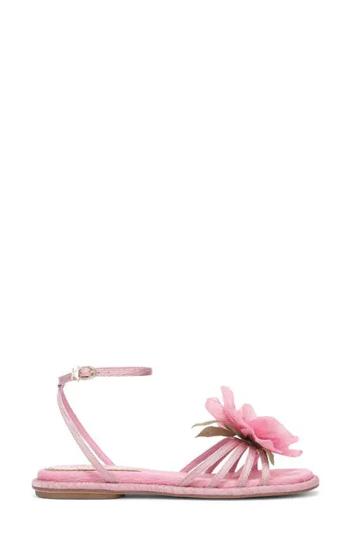 CIRCUS NY BY SAM EDELMAN Olana Strappy Sandals - Rosette Blush/pink Prism