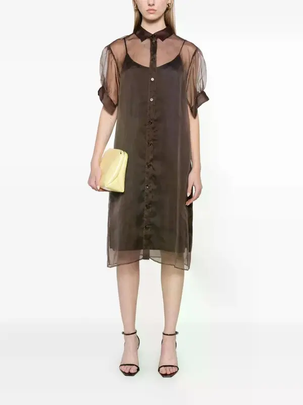 Peserico Semi-sheer Shirt Dress