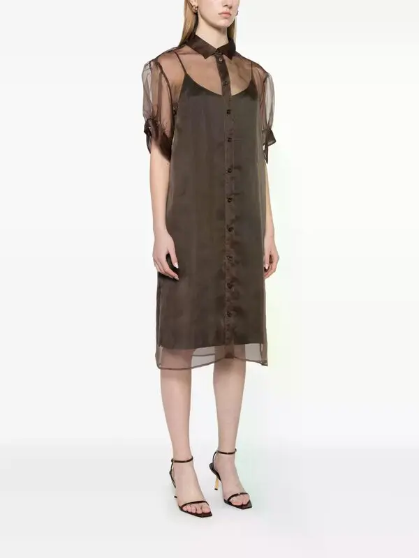 Peserico Semi-sheer Shirt Dress