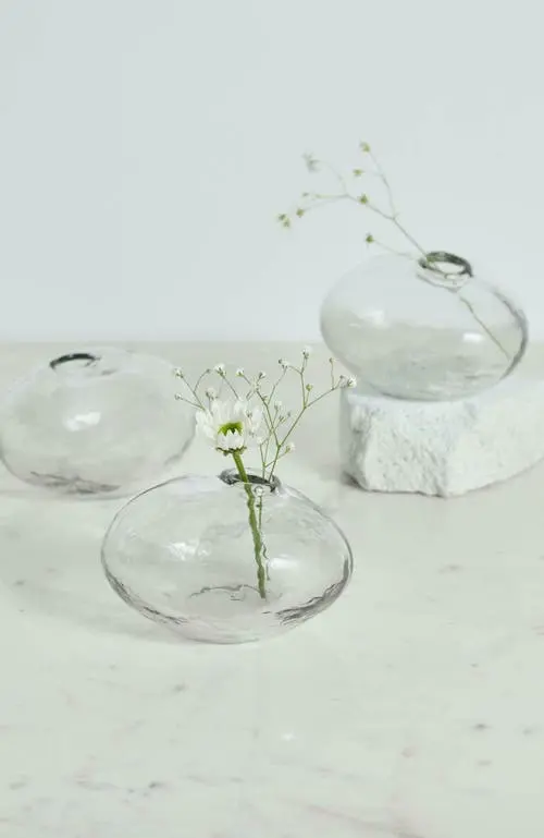 THE COLLECTIVE Natura Vases Set Of 3 - Clear