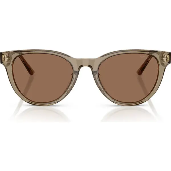 JIMMY CHOO Trace Phantos Sunglasses - Transparent Brown/dark Brown