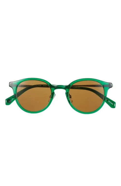 Eyebobs Golden Age 45mm Polarized Round Sunglasses - Green Apple/silver/brown