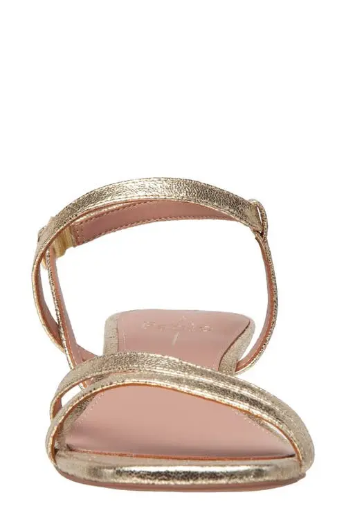 Linea Paolo Cannes Strappy Sandal