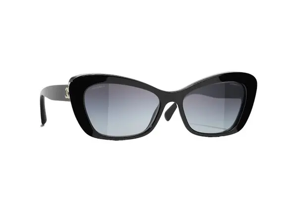 Chanel Cat Eye Sunglasses - Black (5481h C622/s6)
