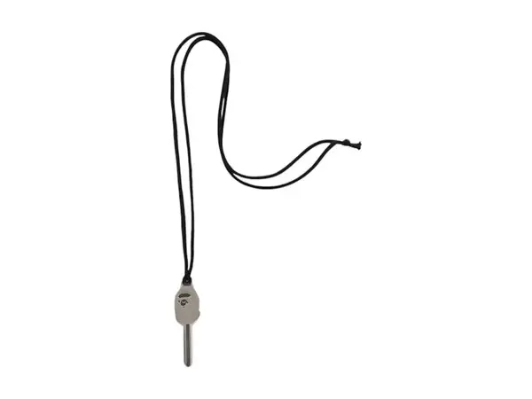 A BATHING APE Ape Head Key Pendant Necklace