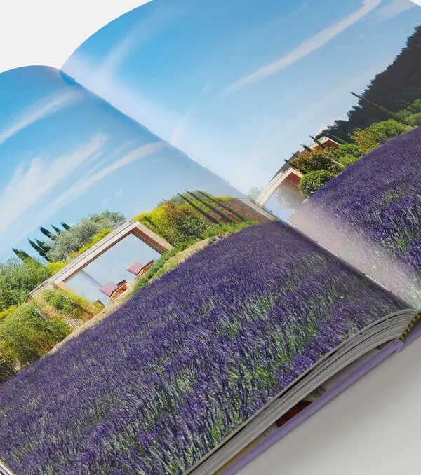 Assouline Provence Glory Book - Purple