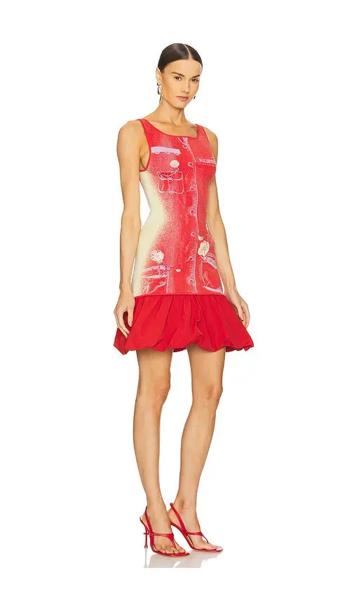 Ph5 Daphne Reversible Tank Dress