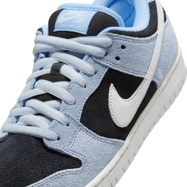 Nike Sb Dunk Low Pro Skate Shoes