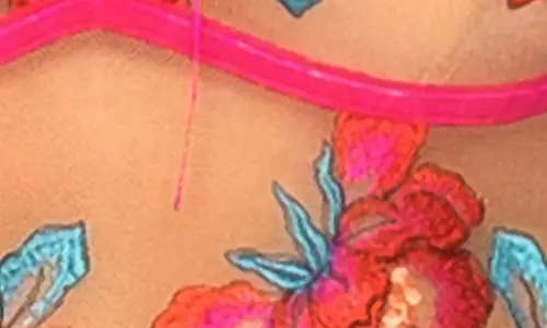 MAPALE Embroidered Mesh Lace-up Bralette & Thong Set