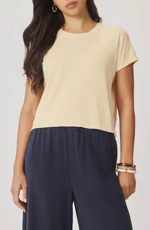 Splendid Lousia Short Sleeve T-shirt - Honeysuckle Beige