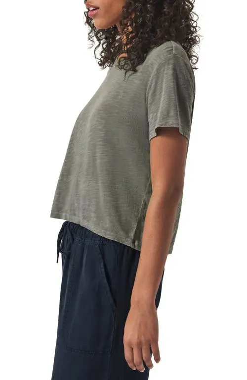 Splendid Louisa Short Sleeve T-shirt - Soft Vob