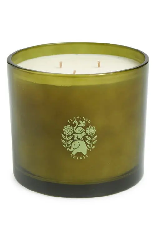 FLAMINGO ESTATE X-large Roma Heirloom Tomato Candle - Green
