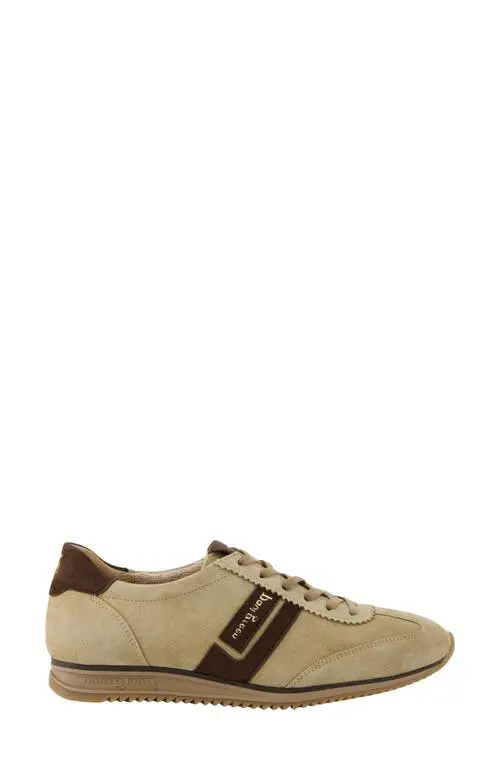 Paul Green Bellevue Sneaker - Grain Choco Combo