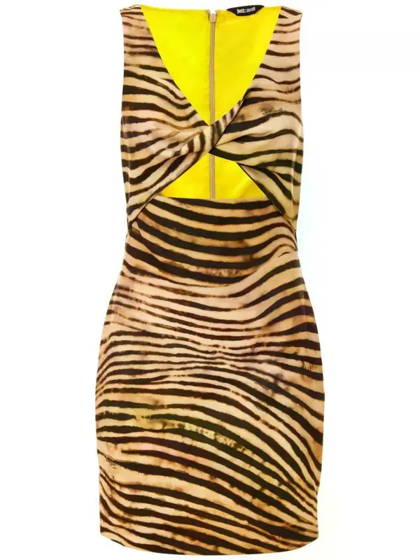 Just Cavalli Zebra-print Mini Dress - Brown